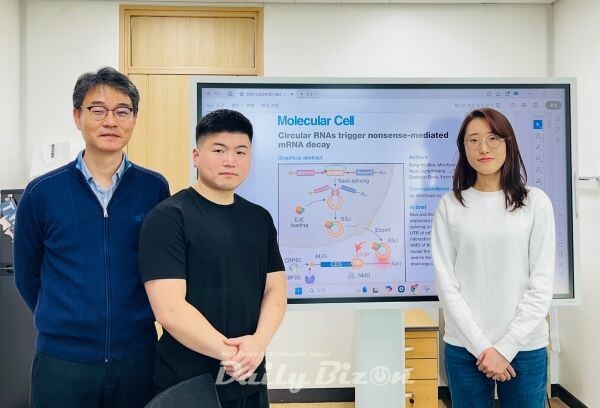 KAIST 생명과학과 김윤기 교수팀, 원형 RNA에 의한 mRNA 분해 메커니즘 규명